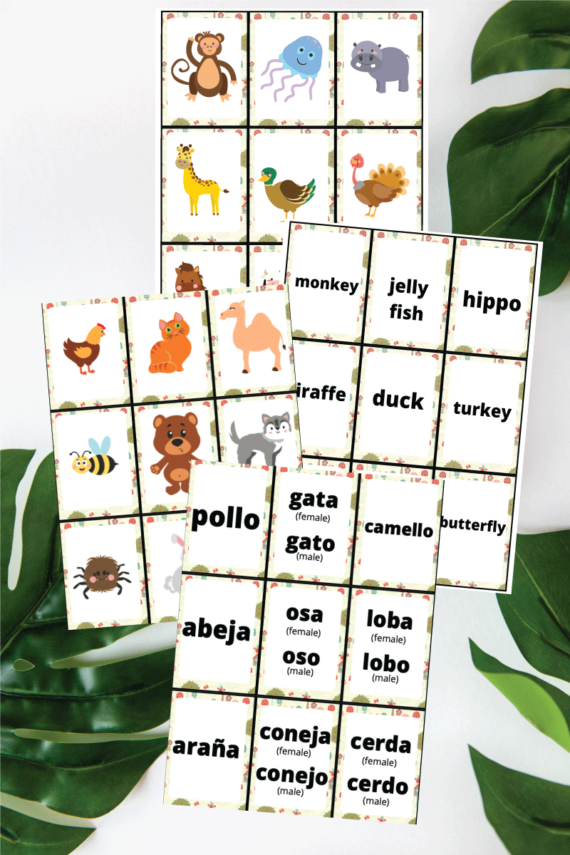 Animal Matching Game - English and Spanish Versions – Play Party Plan